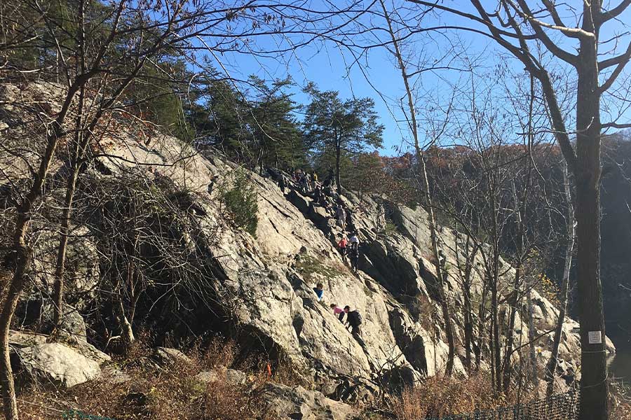 Best Places to Hike and See Fall Foliage with Dogs in the D.C. Area ...